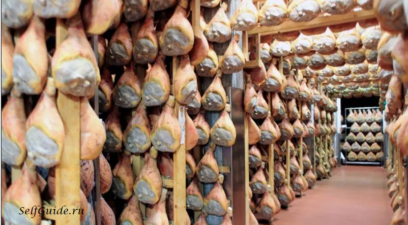 Parma ham meat italian cuisine * Self Guide